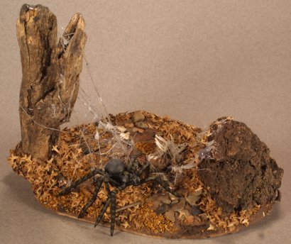 New Page 1 [tsome.com]